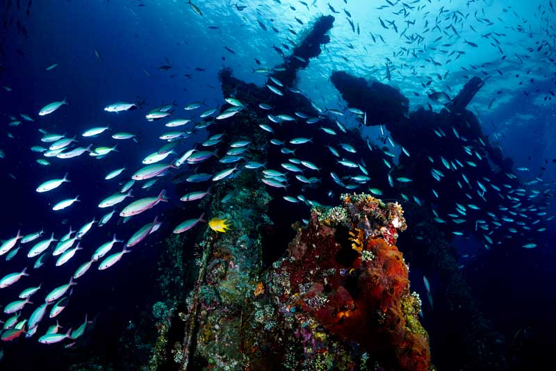 Scuba diving in Tulamben - The wreck and muck diving hotspot of Bali
