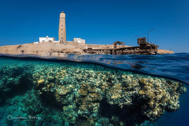 Brother Islands Egypt - The iconic dive sites of the Red Sea